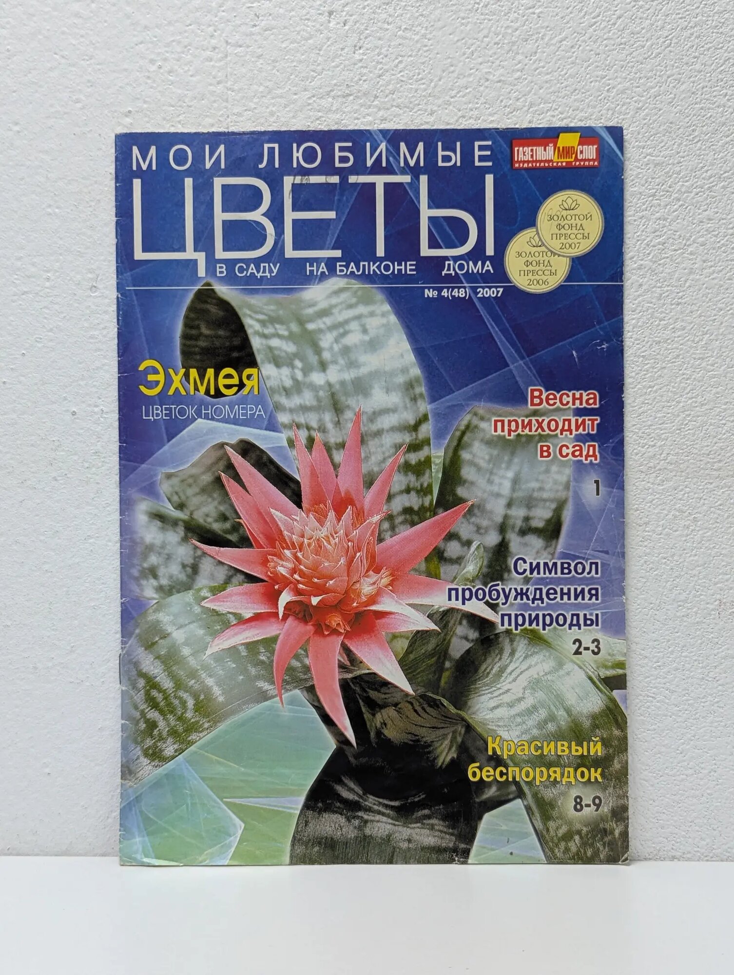 Мои любимые цветы Кузнецова Татьяна Вячеславовна 2007