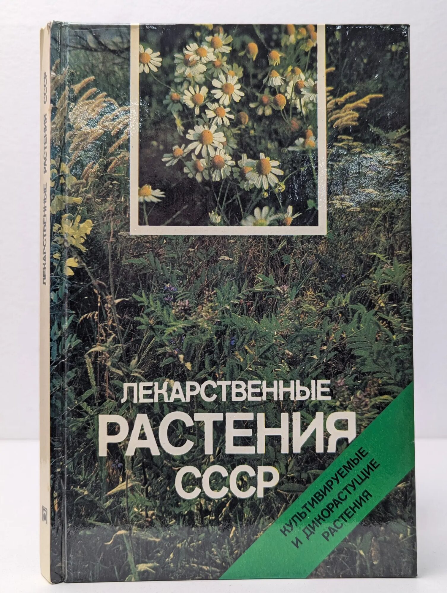Лекарственные растения СССР. Культивируемые и дикорастущие растения Рабинович Александр Моисеевич 1987