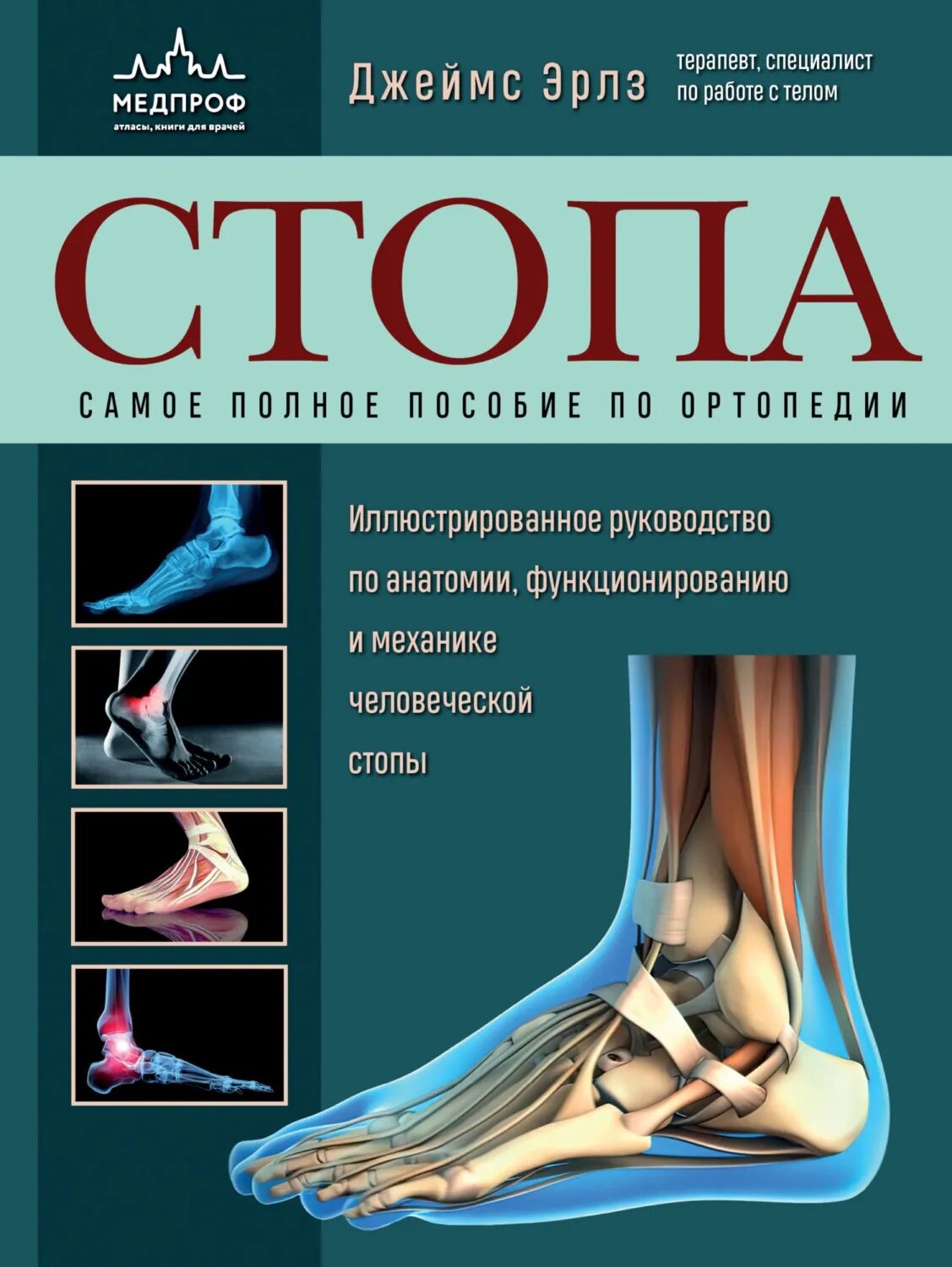 Стопа. Самое полное пособие по ортопедии. Иллюстрированное руководство по анатомии, функционированию и механике человеческой стопы [Цифровая книга]