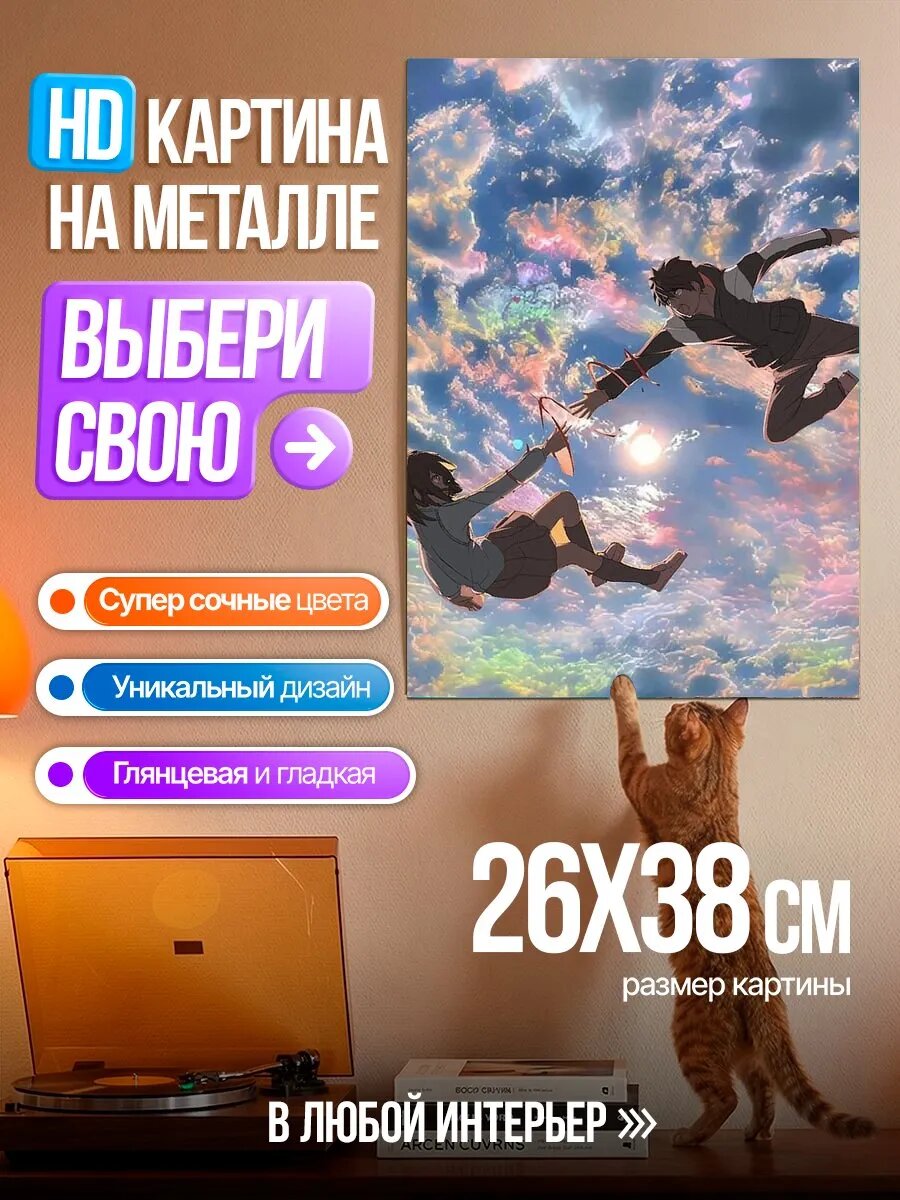 Картина на HD металле Падение в небе
