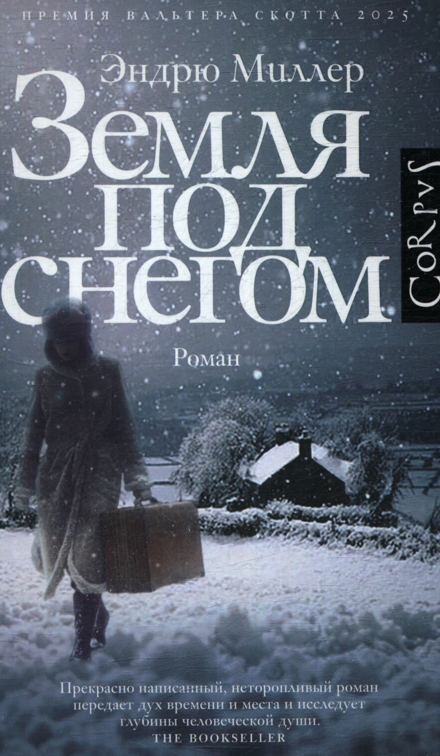 Земля под снегом