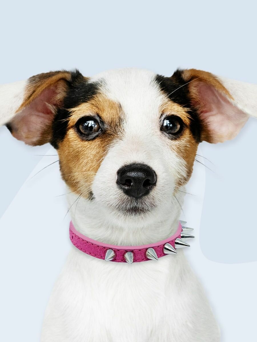 Малиновый ошейник с шипами для собак мелких пород и кошек, XXS / 17см - 22см