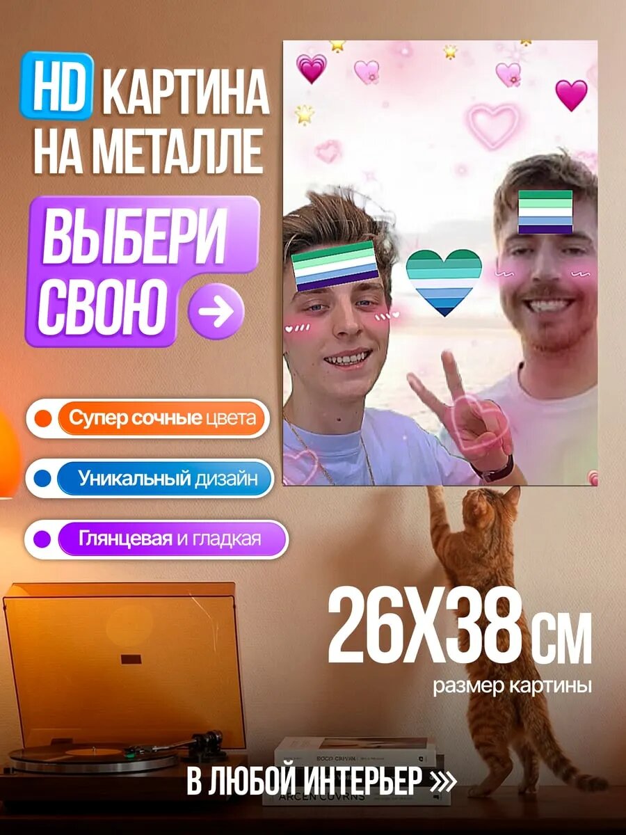 Картина на HD металле MrBeast и друг