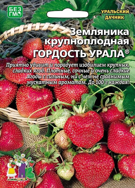 Семена земляники Уральский дачник Гордость Урала, среднепоздняя, крупноплодная, 10 шт
