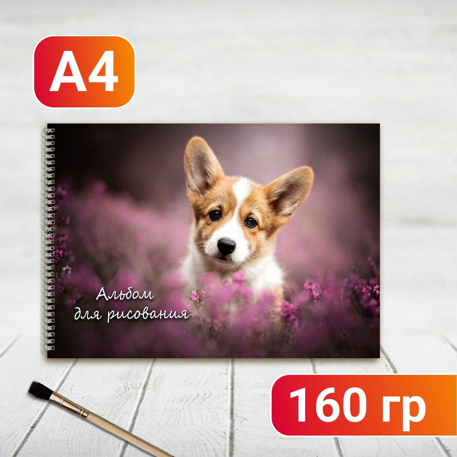 Альбом для рисования Корги