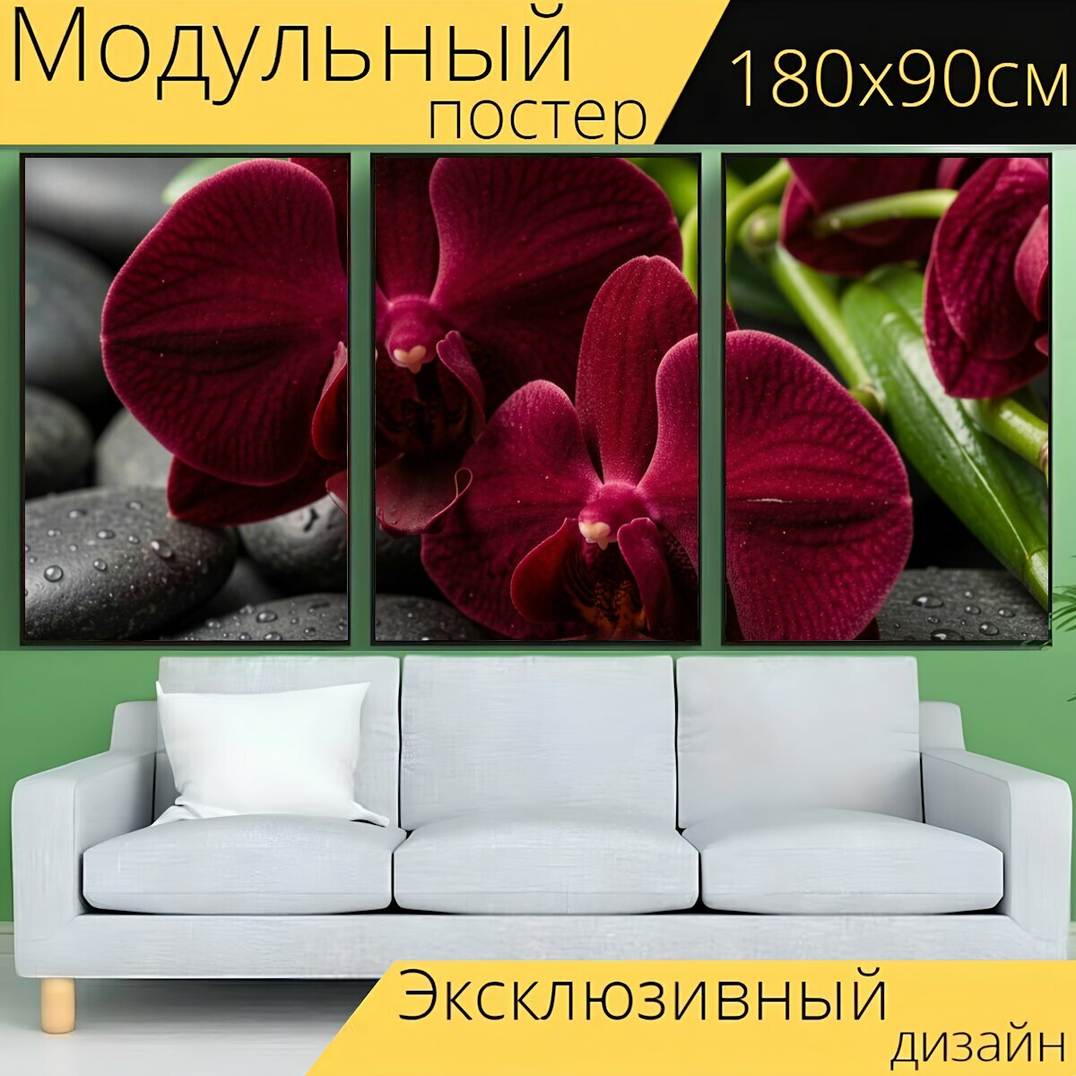 Модульный постер "Бордовые орхидеи на камнях. Элегантные тропические цветы с бархатистыми лепестками, росой на гладких черных камнях и." 180 x 90 см. для интерьера на стену в тубусе