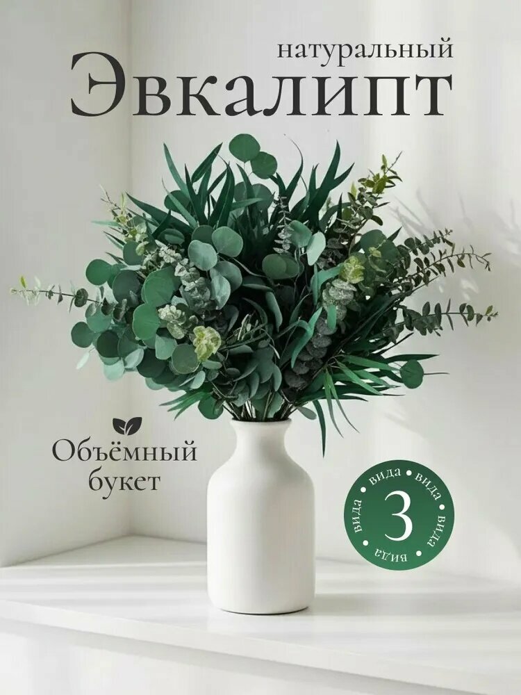 Сухоцветы Яблоня, Эвкалипт, 42 см