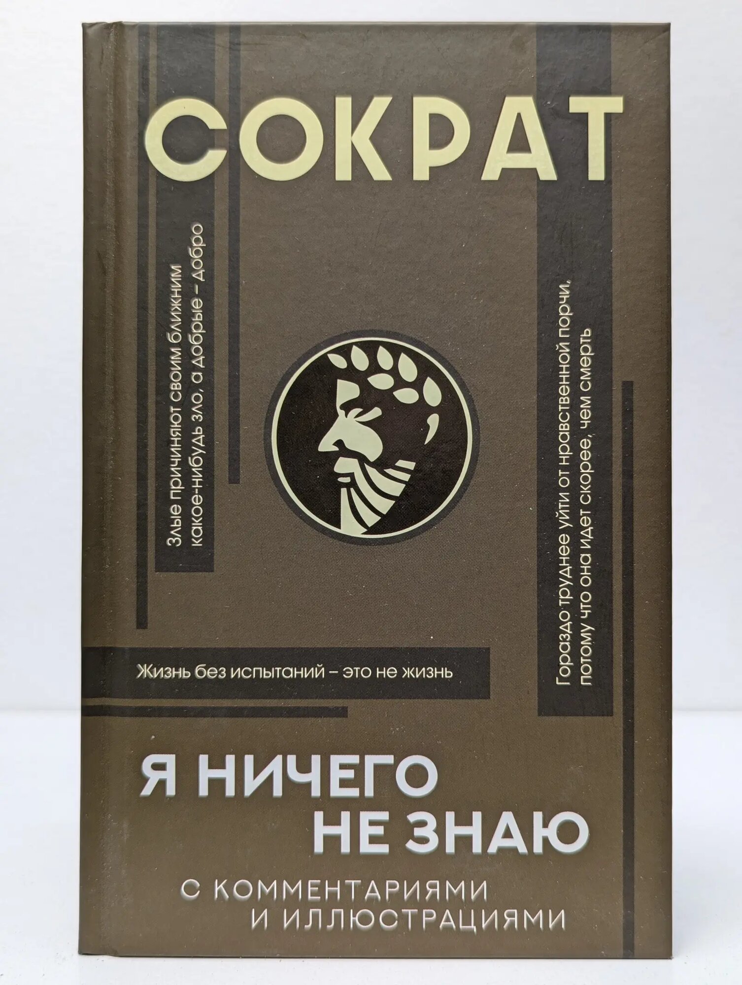 Популярная философия с иллюстрациями. Я ничего не знаю. С комментариями и иллюстрациями Сократ 2021