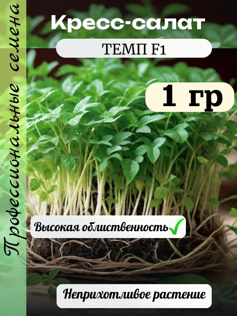 Семена Кресс-салат Темп 1гр