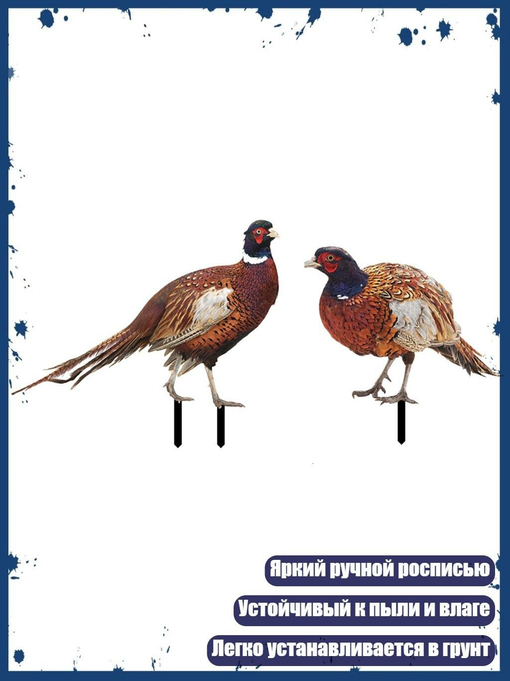 Декоративный знак «Курица» для двора, C