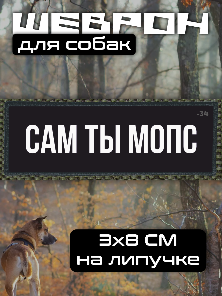 Шеврон на липучке для собак Сам ты мопс