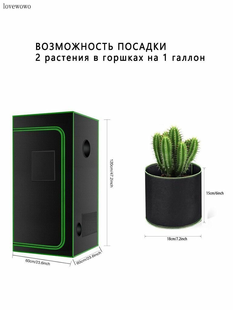 Гроубокс — фото 1
