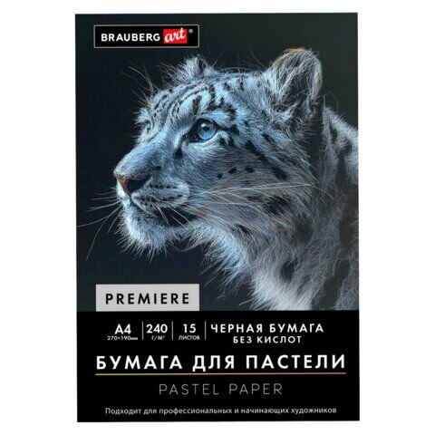 5 шт. Бумага для пастели абразивная А4 в папке, 15 листов, черная, 240 г/м2, BRAUBERG ART, 117765