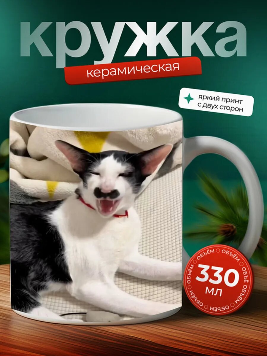 Кружка Дагестанский бархатный кот 20,