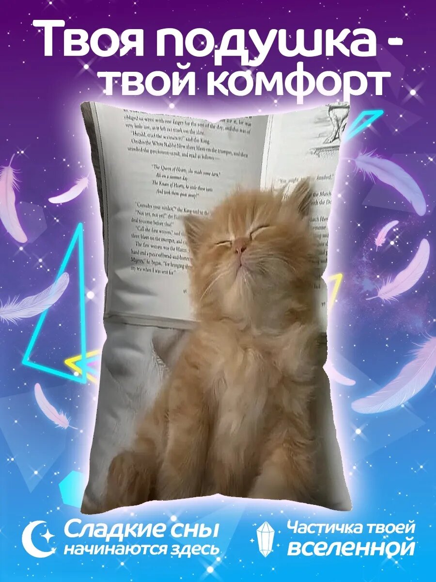Подушка дакимакура Спящий котенок на книге