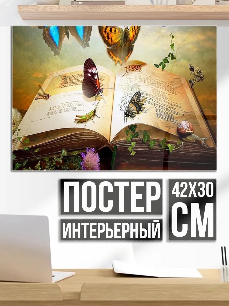 Плакат постер Открытая книга