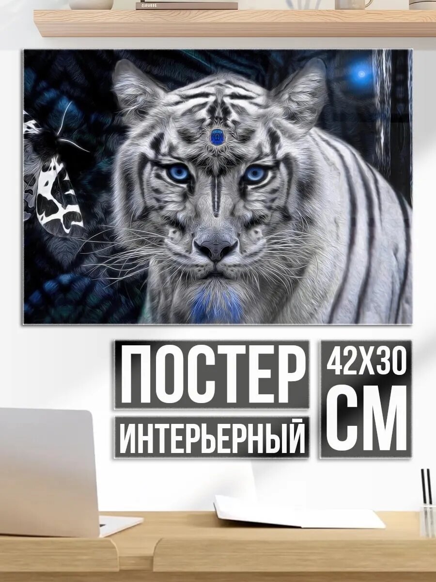 Плакат постер Белый тигр мистик