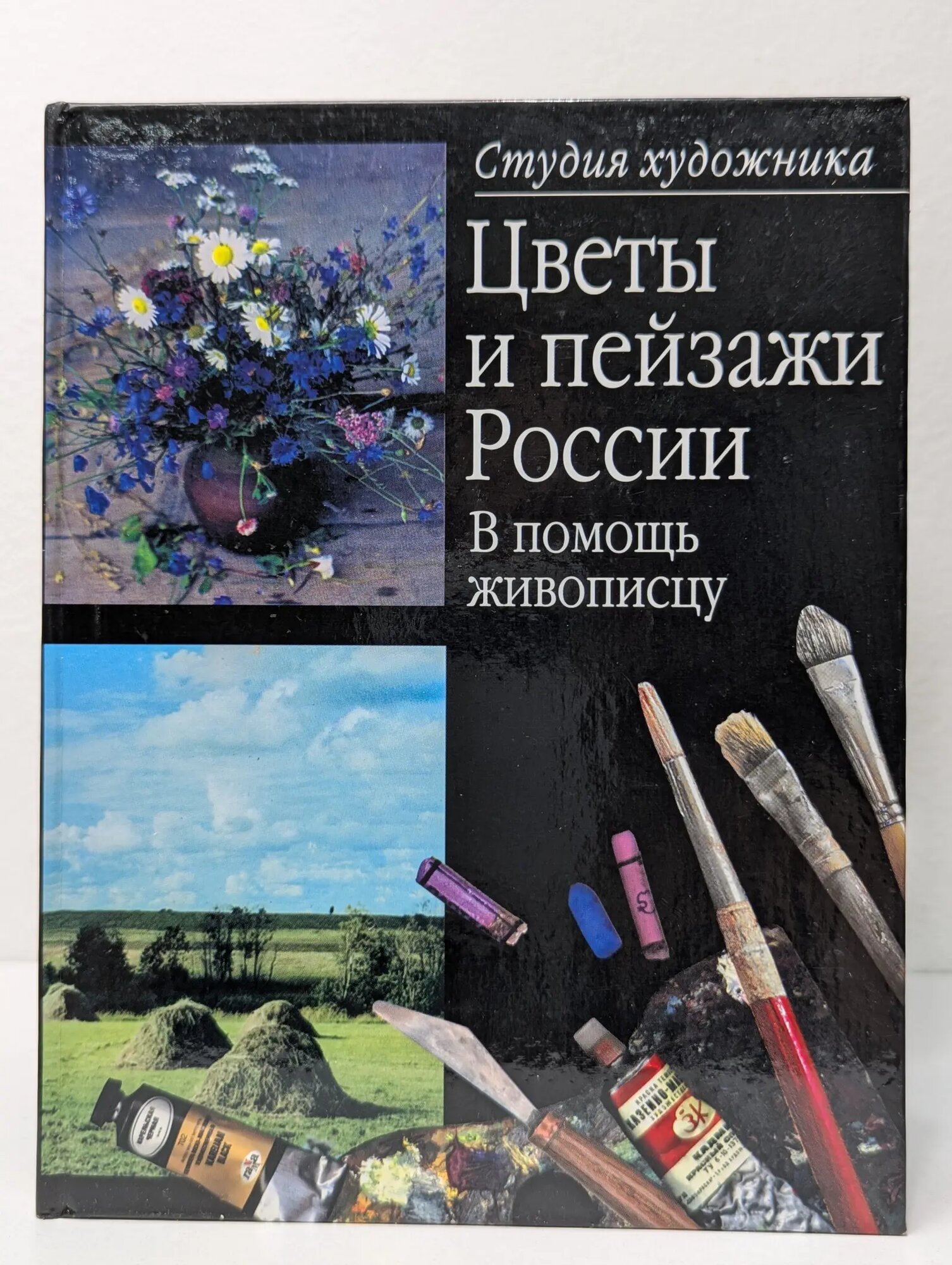Цветы и пейзажи России. В помощь живописцу Синюкова Вера Семеновна 2002