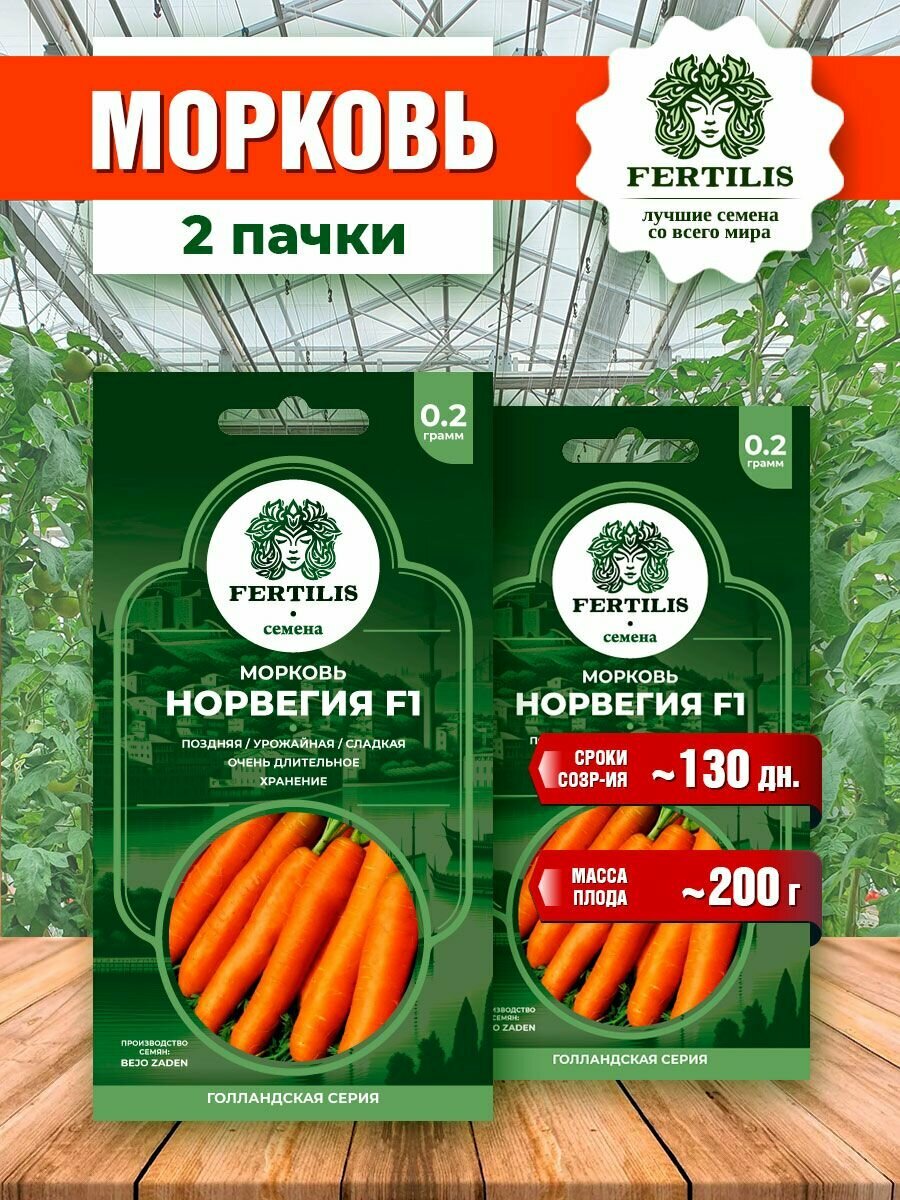 Семена урожайной моркови "Норвегия F1" от компании Fertilis (2 пачки)