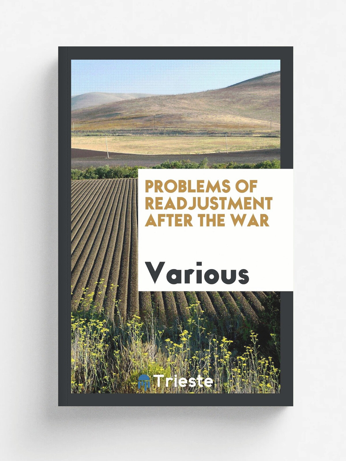 Problems of readjustment after the war