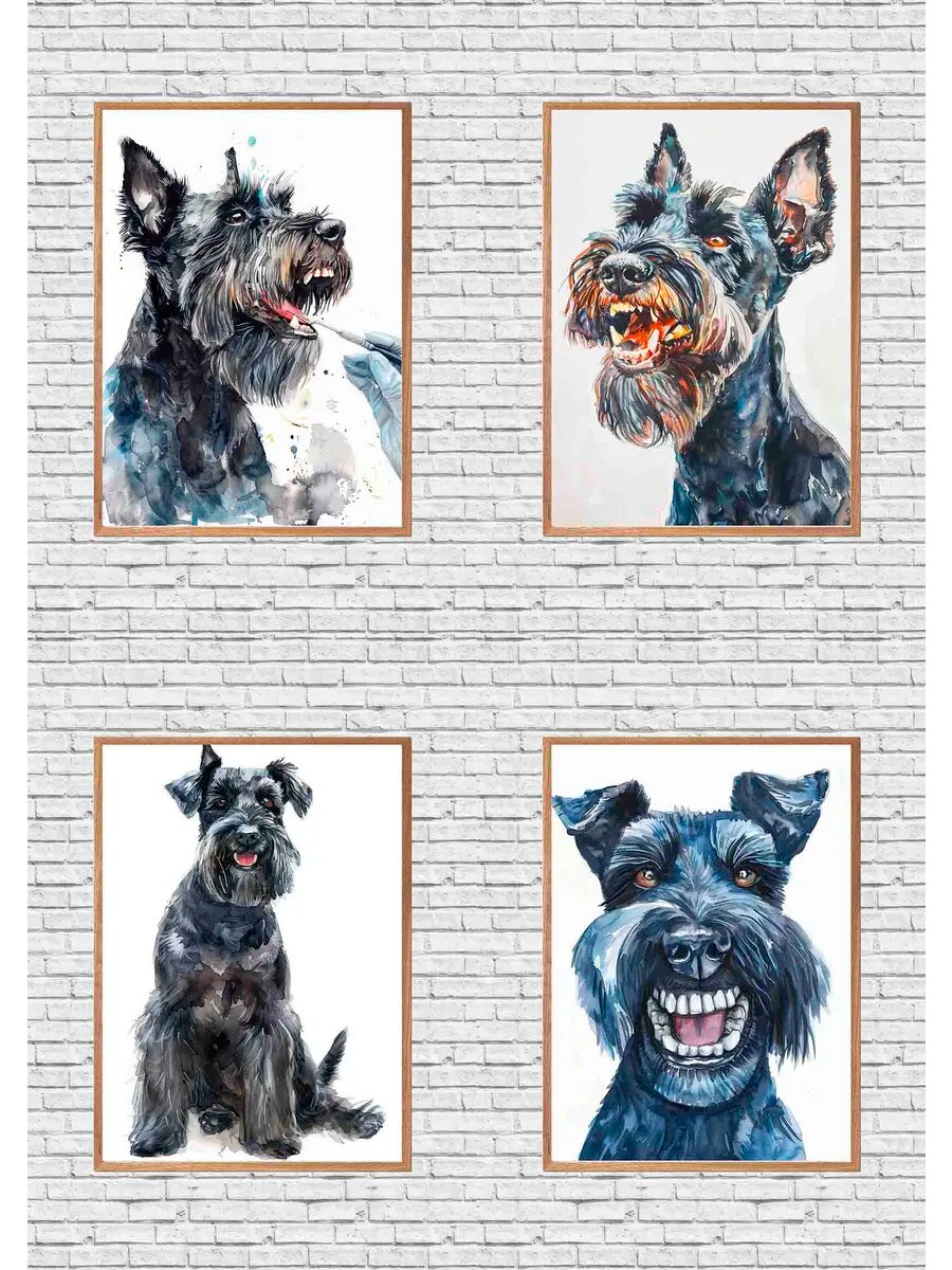Стоматолог для собак породы гигантский шнауцер, 4 Плаката,