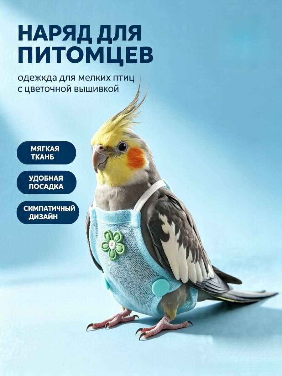Сетчатый подгузник для попугаев, лётный костюм с поводком и одноразовыми пелёнками