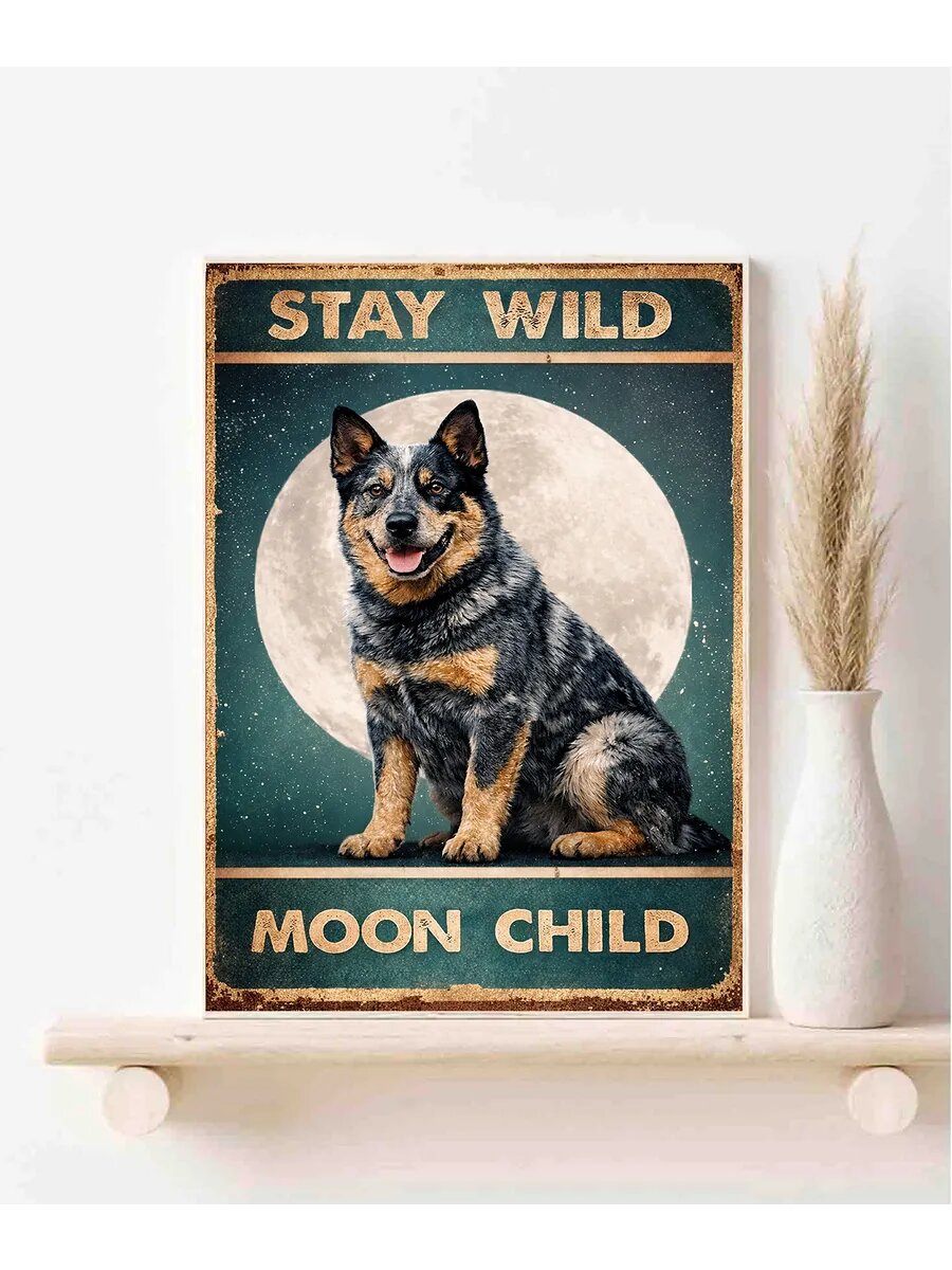 Австралийская пастушья собака, Stay Wild Moon Child, Плакат