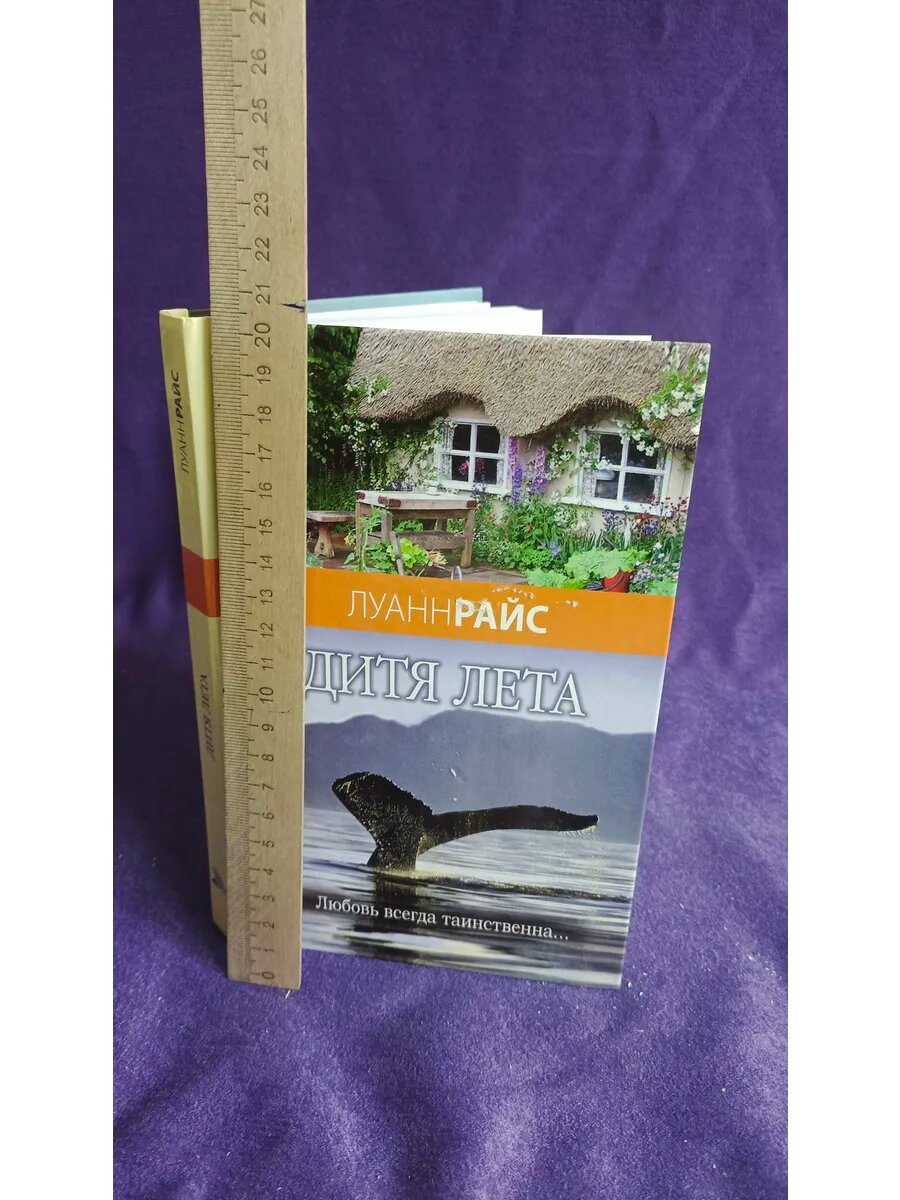 Книга Райс Луанн Дитя лета — фото 1