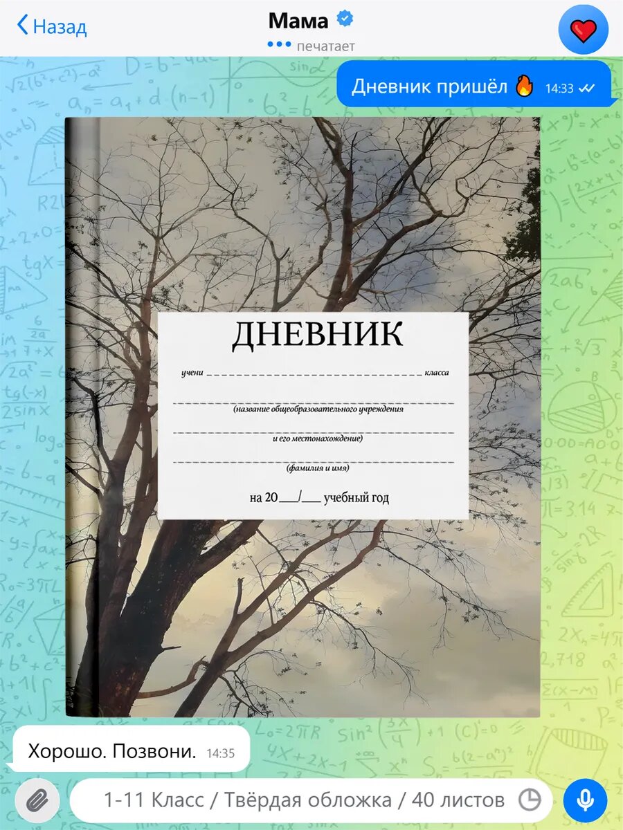 Школьный дневник с принтом y2k pinterest