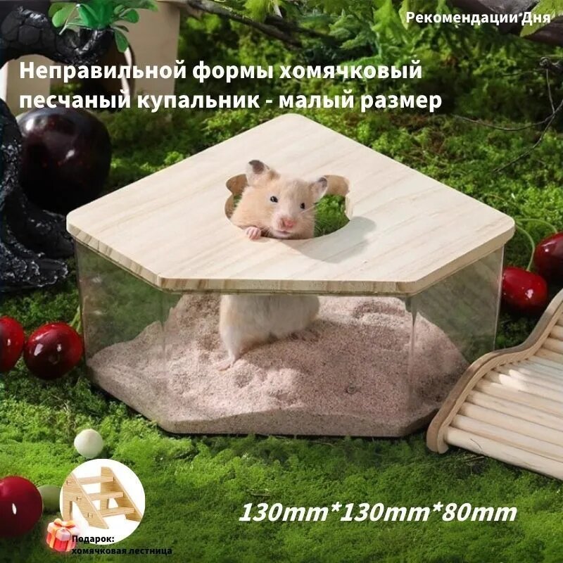 Купалка для мелких грызунов/Домик для хомяков, Бесплатная лестница для хомяка