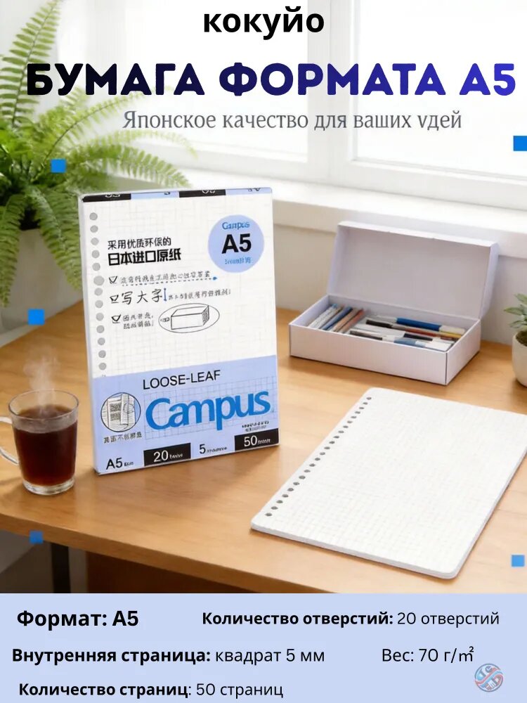 Сменные листы для блокнота Campus, формат А5, клетка 5 мм, 50 листов, 20 отверстий, 70 г/м²