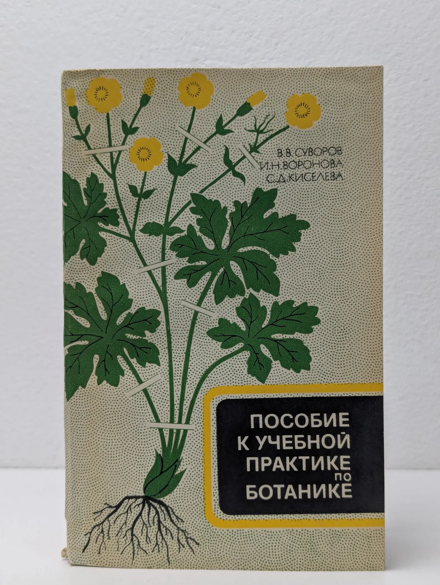 Пособие к учебной практике по ботанике Суворов Владимир Васильевич, Воронова Ирина Николаевна, Киселева Светлана Даниловна 1982