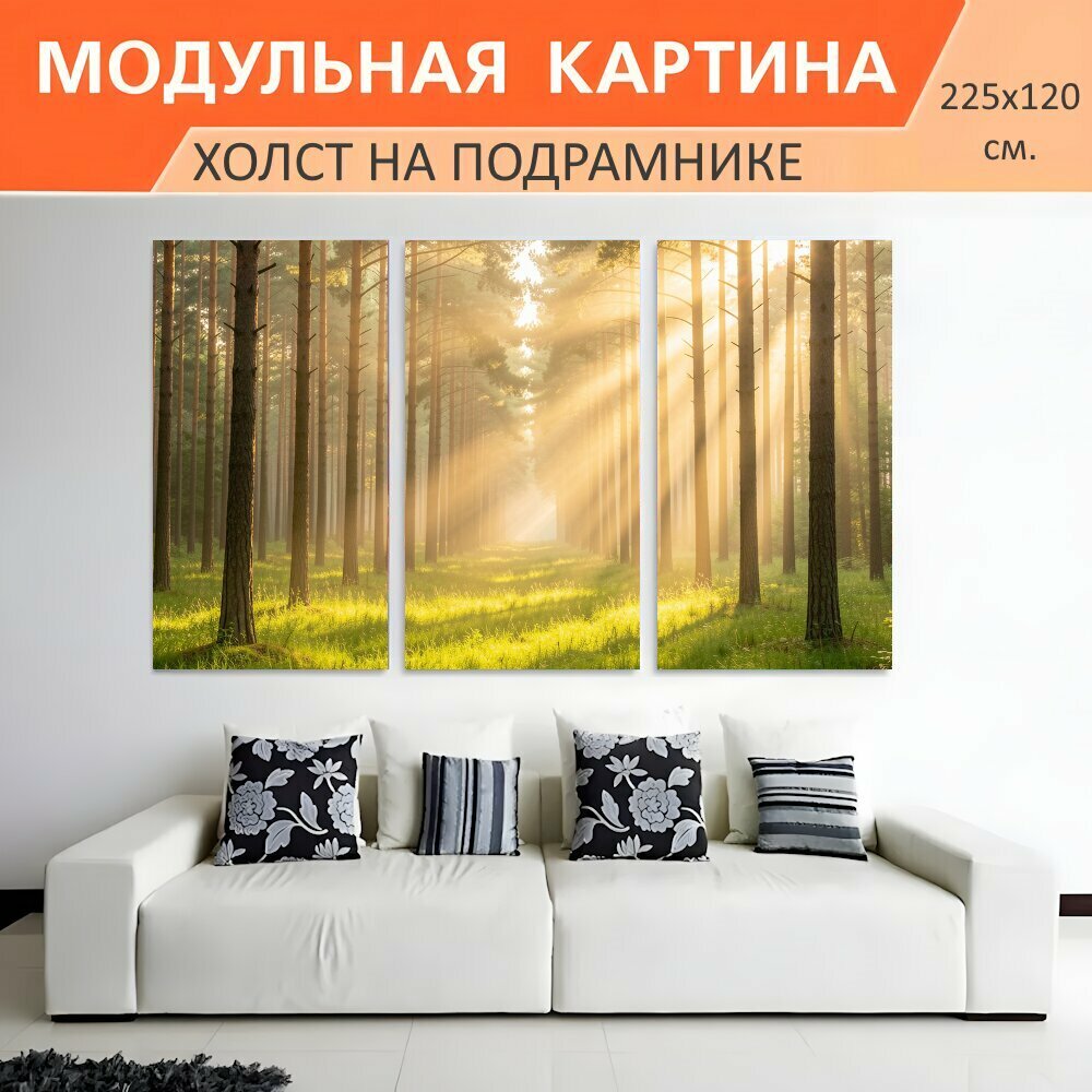 Модульная картина на холсте "Солнечный сосновый лес. Высокие прямые сосны в утренней дымке, мягкие лучи солнца пробиваются сквозь." триптих на подрамнике 225х120 см. для интерьера