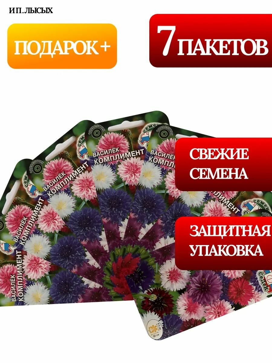 Семена Василек "Комплимент"