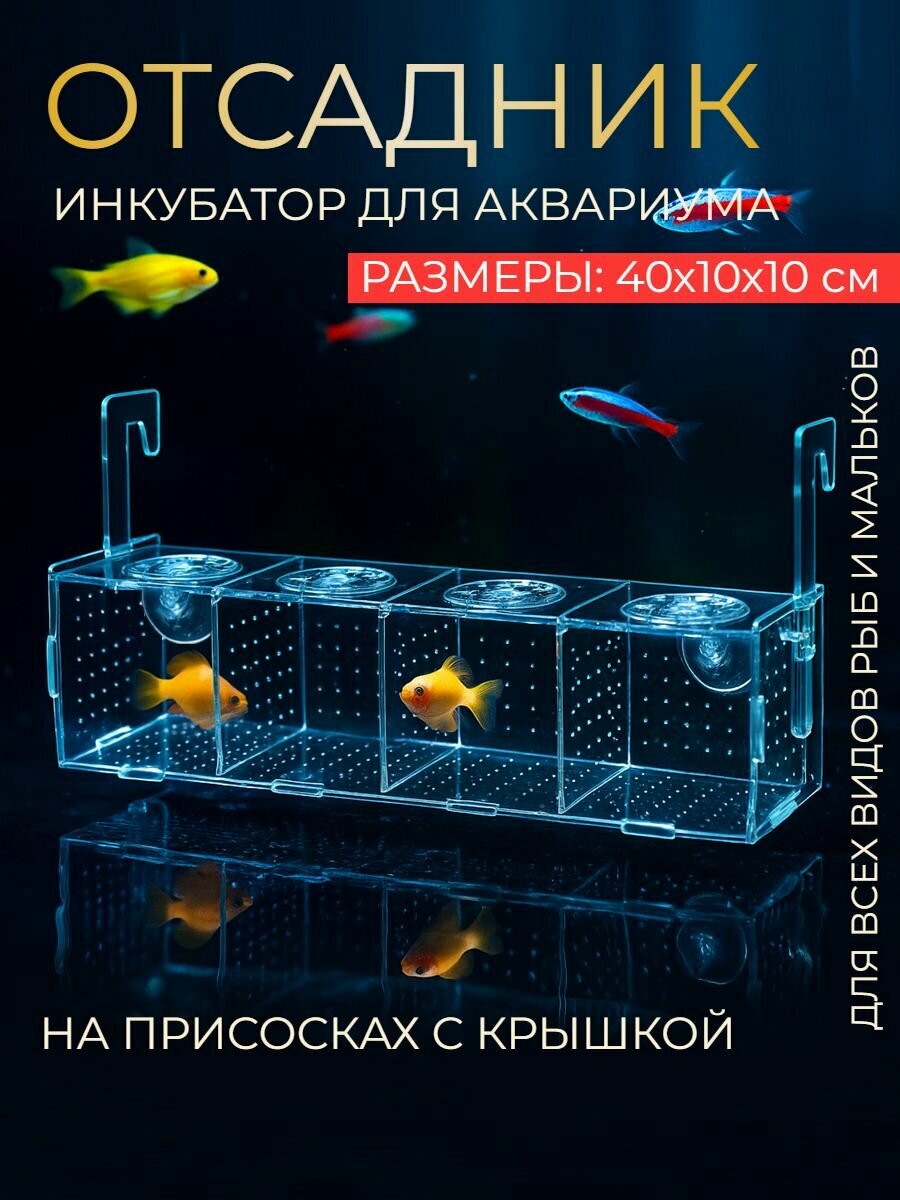 Отсадник для рыб инкубатор для мальков в аквариум 40х10х10 см