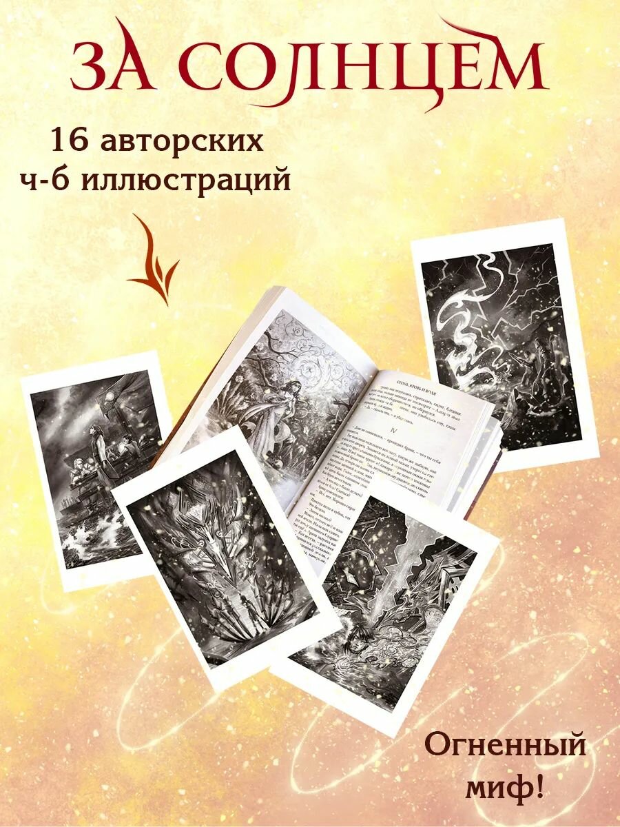 За солнцем — фото 1
