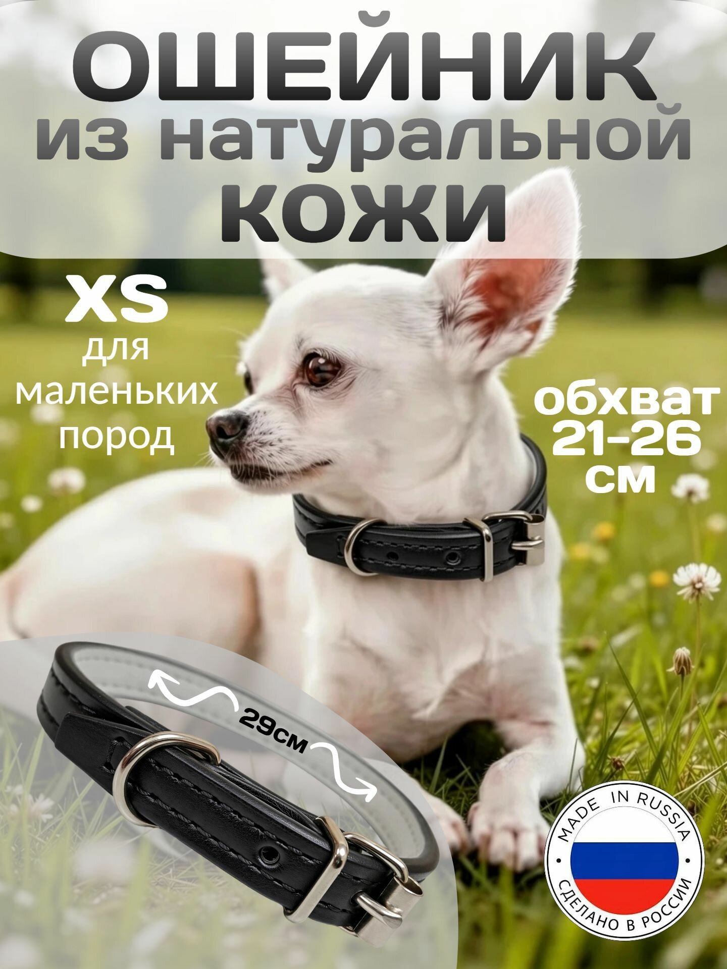 Ошейник для собак кожаный, для маленьких пород