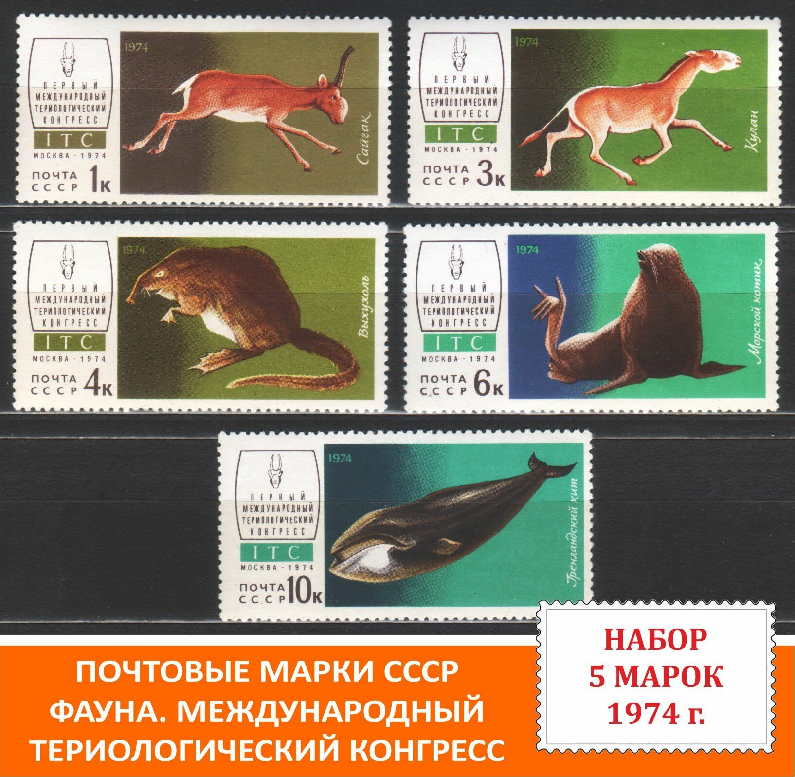 Почтовые марки СССР Фауна. Териологический конгресс. Набор 5 марок 1974 года