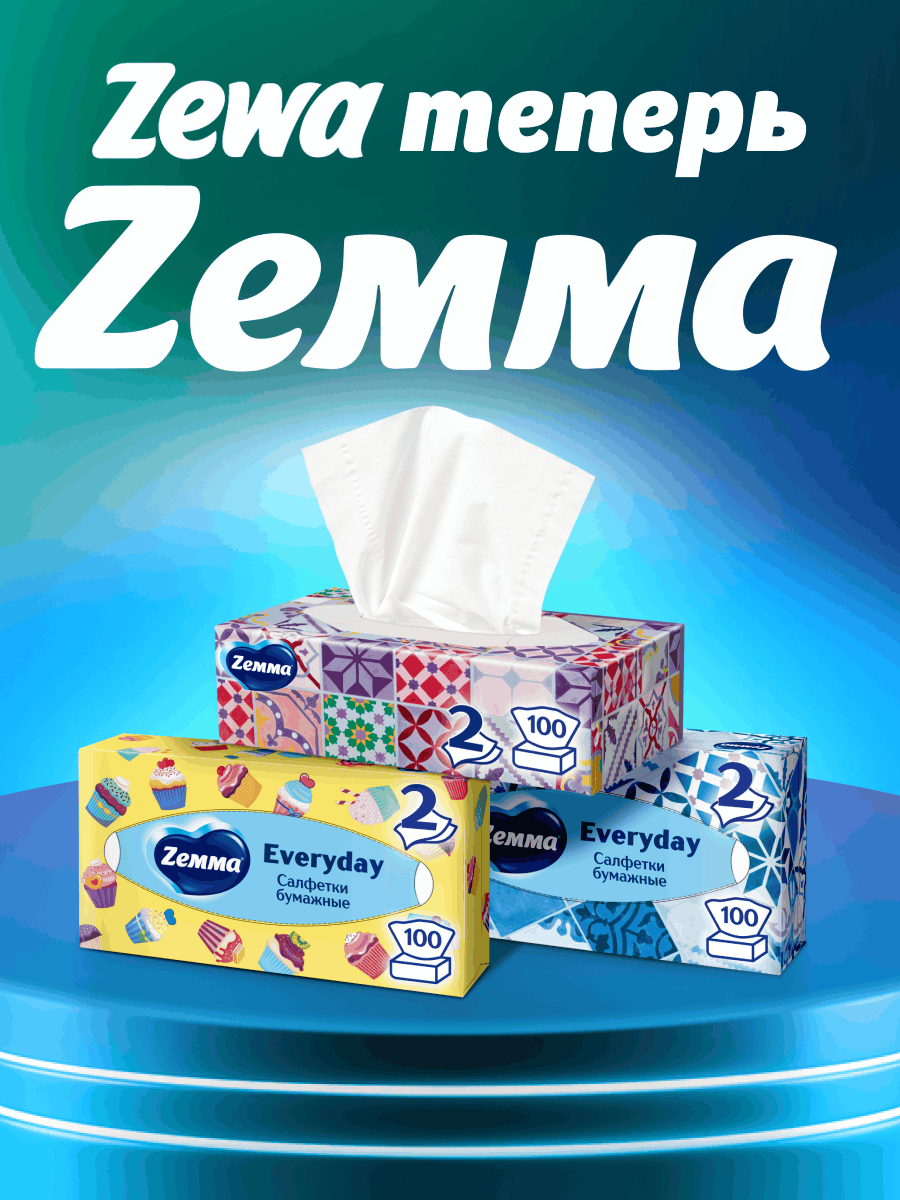 Салфетки бумажные в коробке Zewa/Zemma Everyday, 2 слоя, Набор 3Х100 шт