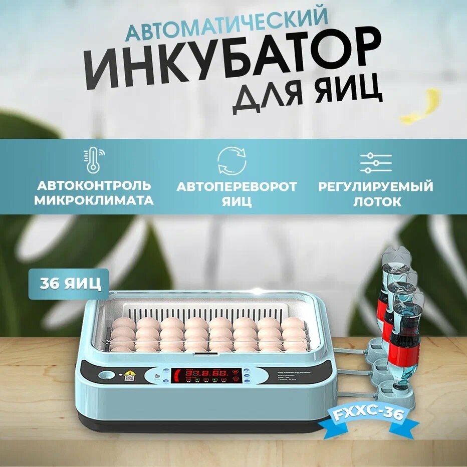 Инкубатор для яиц FXXC-36 автоматический, 36 яиц