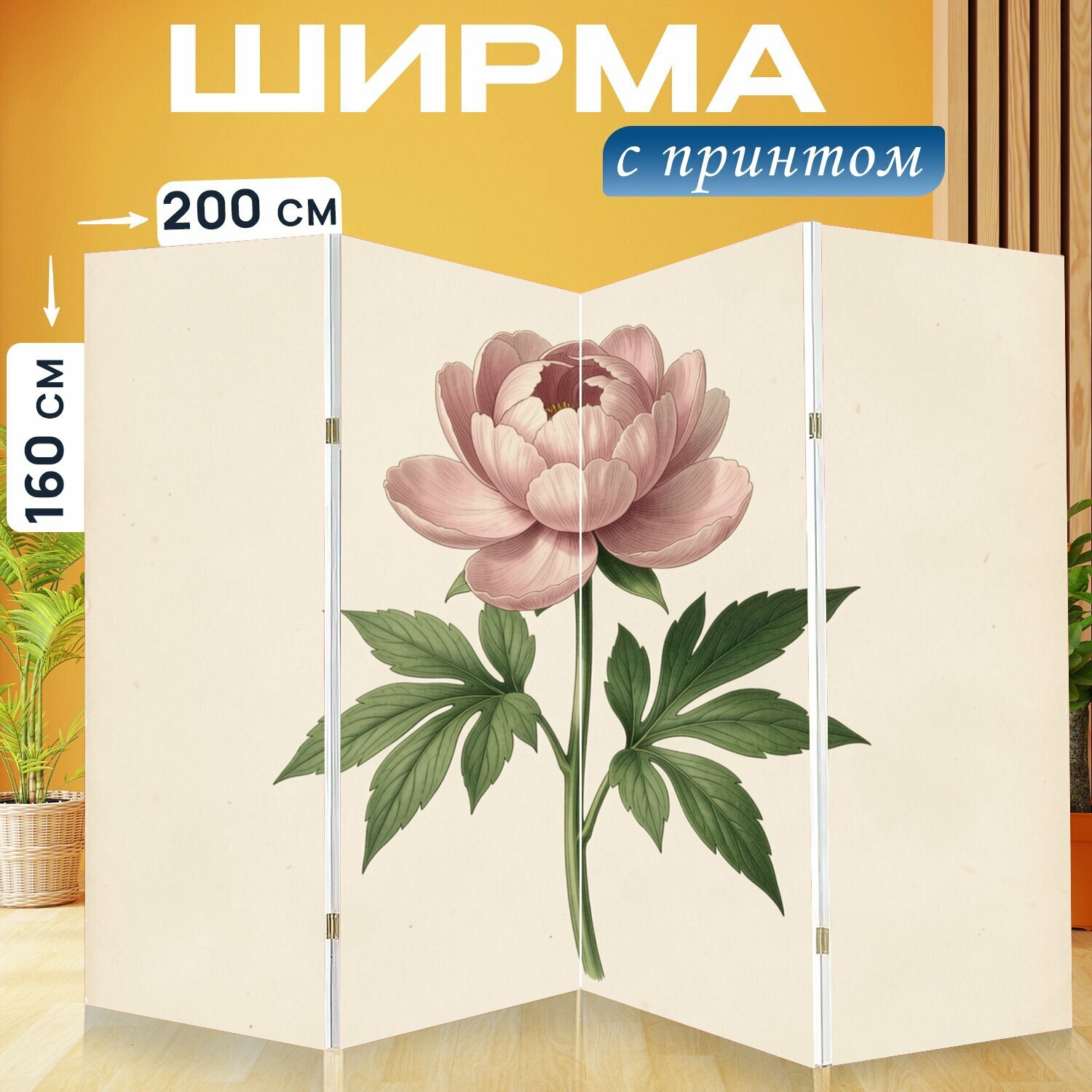 Ширма "Розовый пион с зелёными листьями. Изящный ботанический рисунок крупного цветка с нежными лепестками и." перегородка для зонирования комнаты с принтом 200x160 см. на холсте