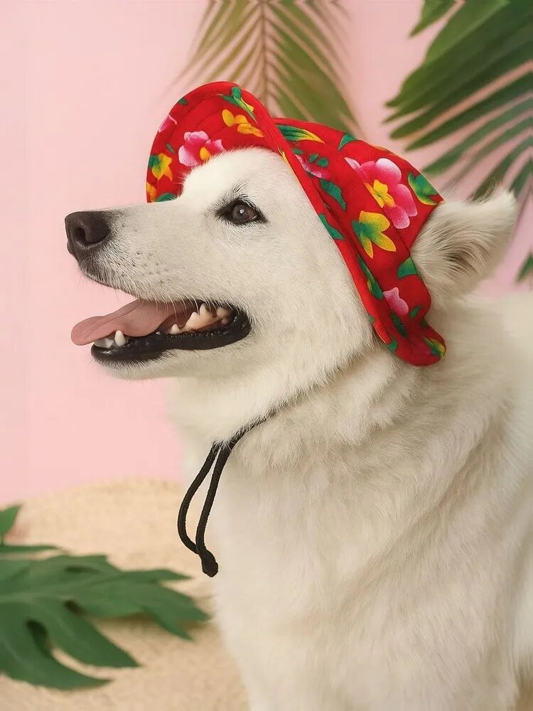 Кепка для собак и кошек