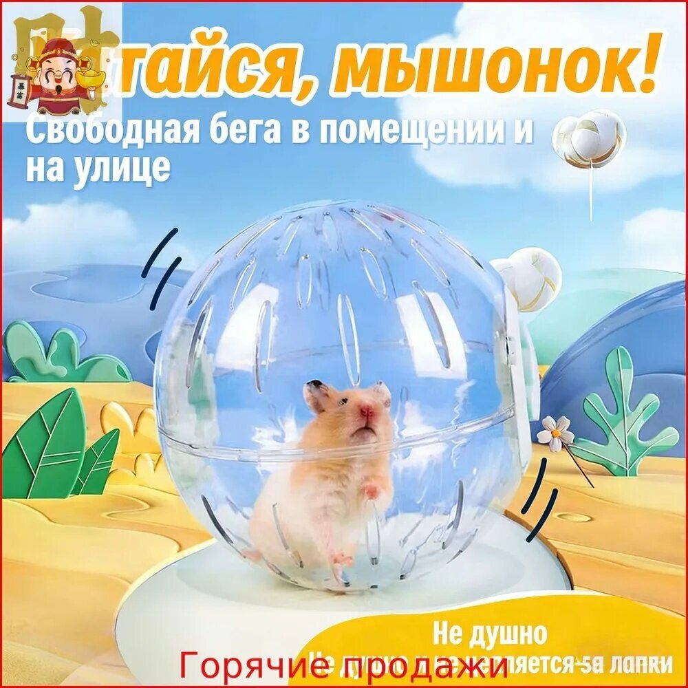 Прогулочный шар для грызунов и хомяков