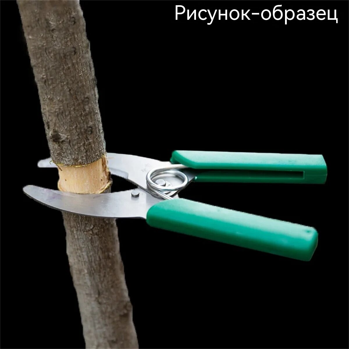 Садовые Секаторы Для Обрезки В Теплице, Саду, На Фруктовых Деревьях, Цветах И Ветвях. Набор Инструментов Для Садоводства: Секаторы И Плоскогубцы Для Прививки.
