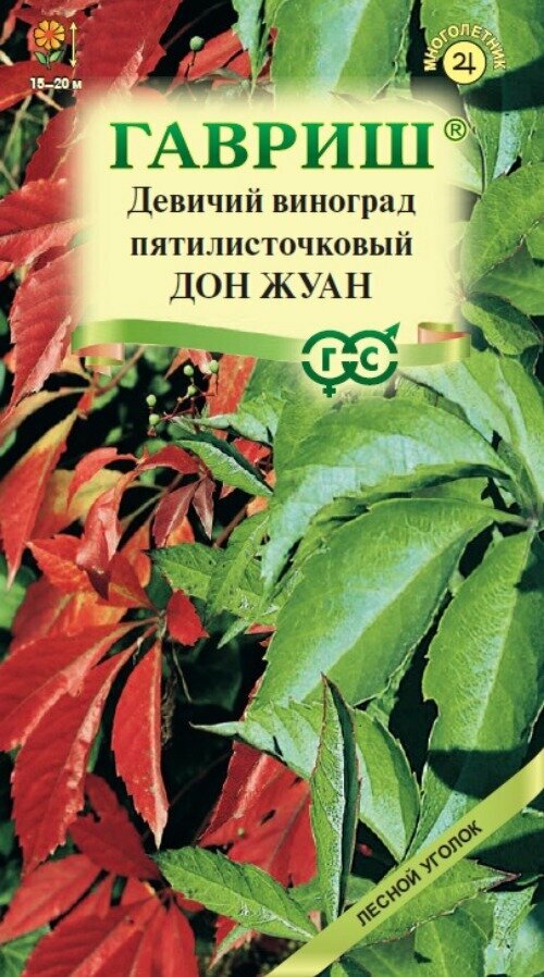 Семена девичьего винограда Гавриш Дон Жуан, многолетний, вьющийся, 5 шт 004958