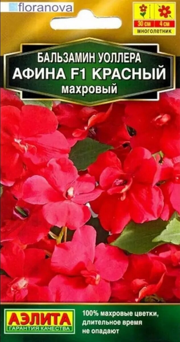 Семена бальзамина Аэлита Афина красный, полумахровый, 5 шт
