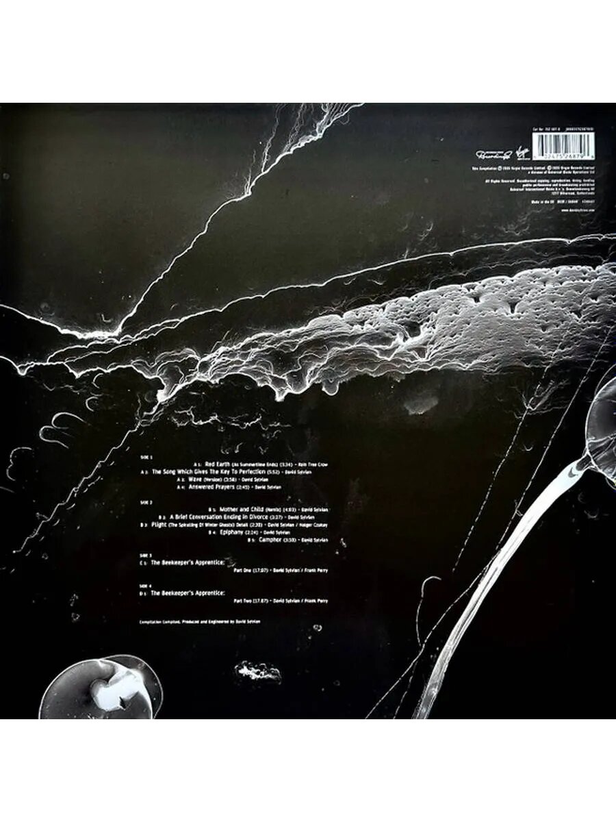 David Sylvian - Camphor II (2LP white) — фото 1