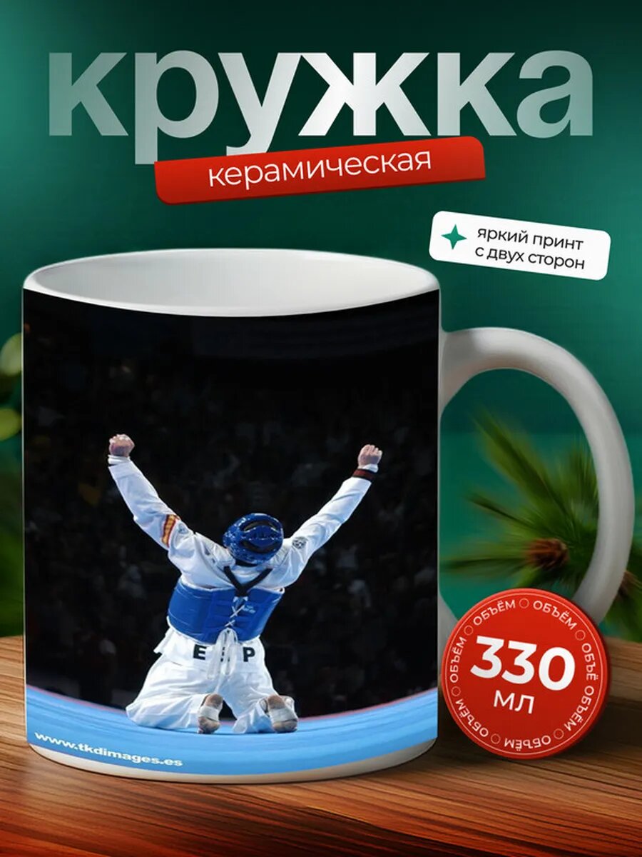 Кружка Тхэквондо 2,