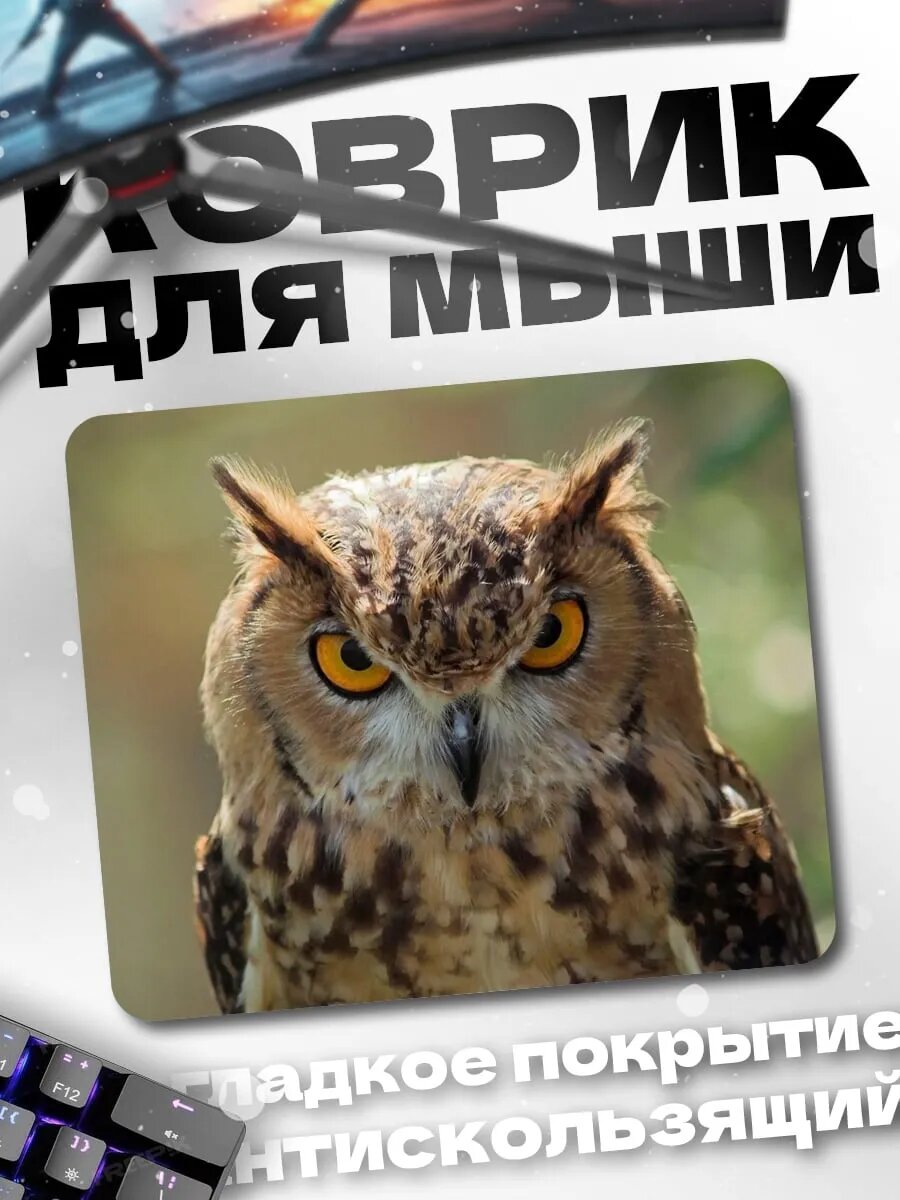 Коврик для мыши Мудрый Филин Глаза