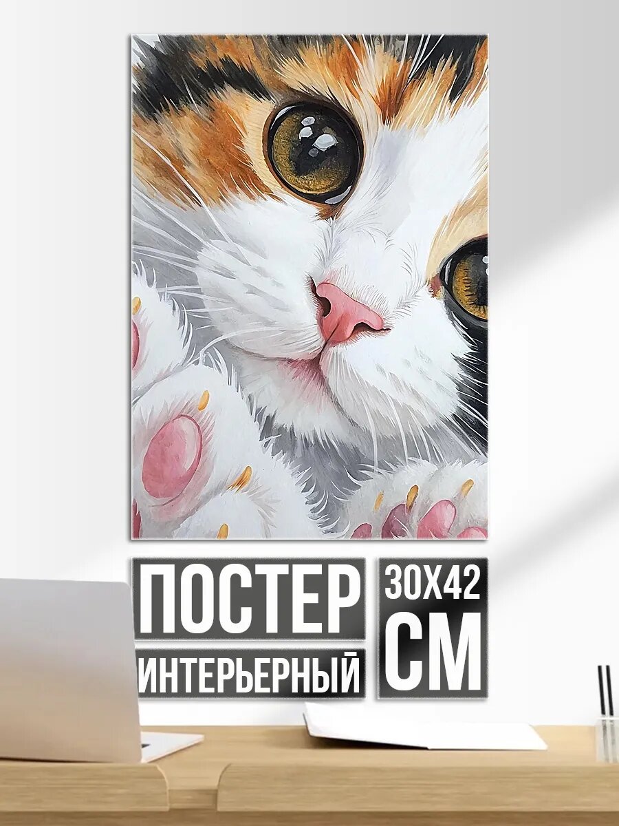 Плакат постер Кот с большими глазами